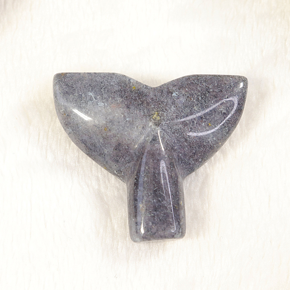 Trolleite Dolphin Tail - Trolleite Animals - Nature's Artifacts