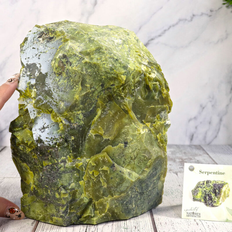 Serpentine Decorator (XL) - Nature's Artifacts